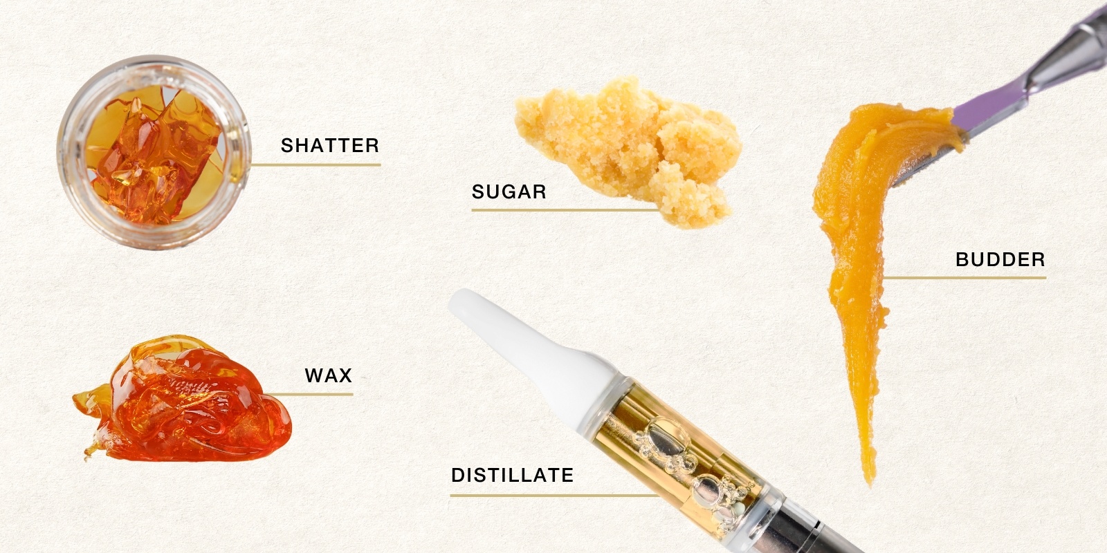 Weed Dabs Cannabis Concentrates: Shatter Vs Wax | Fast Buds
