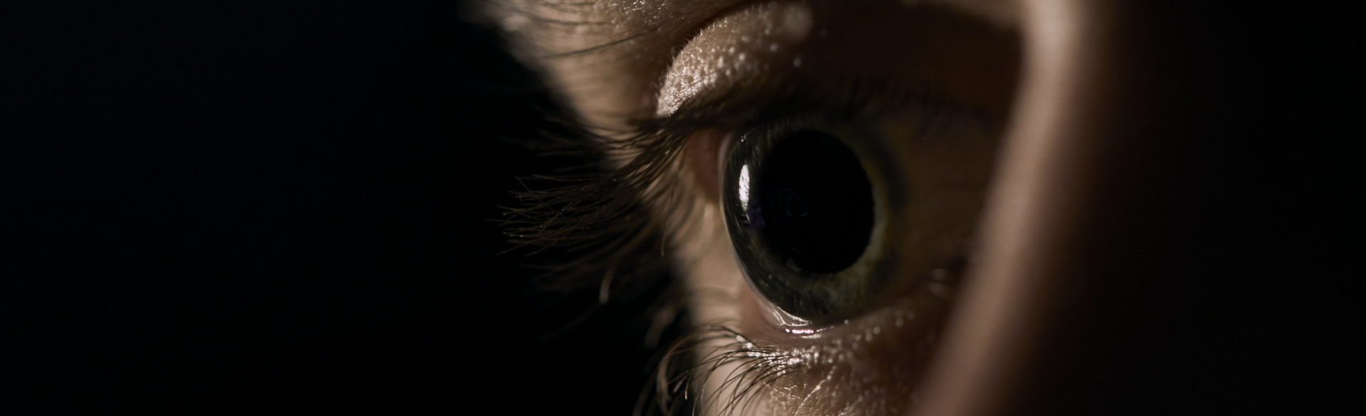 Pupils Dilated When High